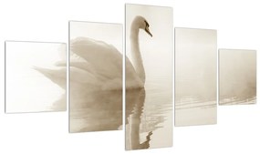 Obraz labutě (125x70 cm)