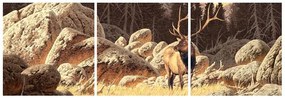 Obraz jelena (120x40 cm), 40 dalších rozměrů