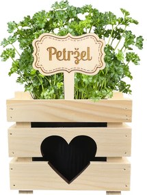 AMADEA Dřevěný zápich - cedulka na bylinky Petržel, výška 20 cm, český výrobek