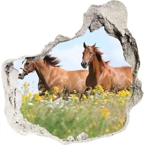 Wallmuralia Díra 3D fototapeta Dva koně ve cvalu 75x75 cm