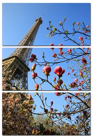 Obraz na plátně - Eiffelova věž v jarním období - obdélník 734B (90x60 cm  )