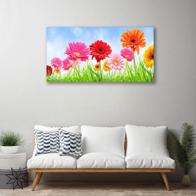 Obraz na plátně Květiny tráva Rostlina 120x60 cm