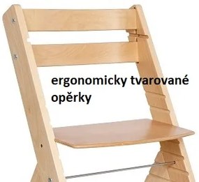 WOOD PARTNER Rostoucí židle pro školáky Vendy lak/lak