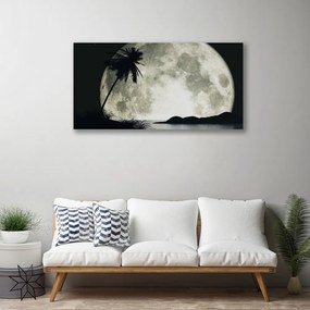 Obraz na plátně Noc Měsíc Palma Krajina 140x70 cm