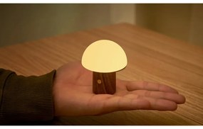 Bílá/v tmavě přírodní barvě LED stolní lampa (výška 7 cm) Alice Mushroom – Gingko
