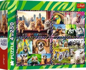 TREFL Puzzle Zábavná zvířata / 4x 250 dílků / od 7 let
