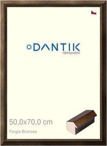 DANTIK rámeček 50x70 | Forgia Bronzea (Plexi Čiré)