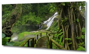 Wallmuralia Foto obraz sklo tvrzené Vodopád v džungli 100x50