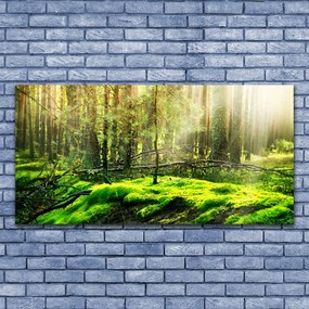 akrylový obraz Mech Les Příroda 120x60 cm
