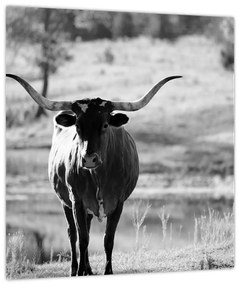 Obraz - Kráva, černobílá (30x30 cm)