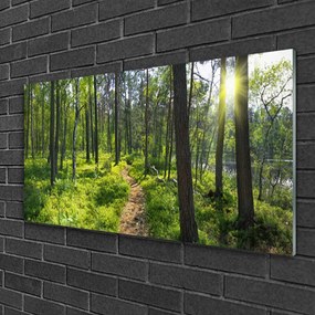 Obraz na skle Les Stezka Cestička Příroda 125x50 cm