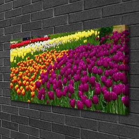 Obraz na plátně Tulipány Květiny 125x50 cm