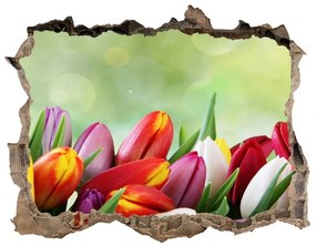 Wallmuralia Samolepící díra na stěnu Barevné tulipány 95x64 cm