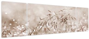 Obraz - Louka v hnědých tónech (170x50 cm)