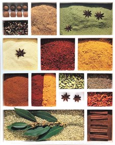 Postershop Obrazová reprodukce : Camille Soulayrol - Spices - 24x30cm