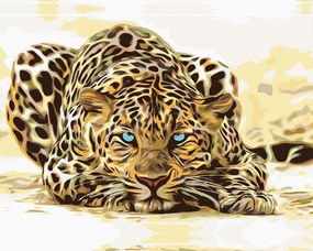 zuty malování podle čísel - číhající leopard, 100x80 cm, vypnuté plátno na rám