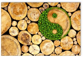 Malvis ® Obraz zelená rovnováha Velikost: obdélník - 150x100 cm