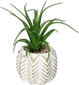 Dekorace Aloes II 14cm
