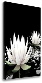 Wallmuralia Vertikální Foto obraz canvas Květ lotosu 50x100