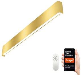 Immax Neo | Immax NEO 07137-G - LED SMART Stmívatelné svítidlo LINEA LED/40W/230V + DO 76 cm | IM0708