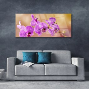 Plexisklo-obraz Orchidej Výhonky Květiny Příroda 125x50 cm