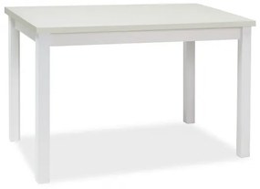 Jídelní stůl Adams 100 x 60 cm / Bílá