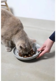 Pet Amour Designová miska pro kočky Plate šedá