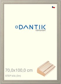 DANTIK rámeček 70x100 | STEP bílá (Plexi Čiré)
