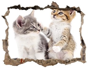 Wallmuralia Díra 3D fototapeta nálepka Dvě malé kočky 95x64 cm