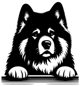 Samolepka pes Akita Inu