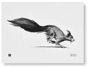 Plakát Squirrel 30x40 cm Teemu Järvi Illustrations