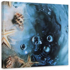 Gario Obraz na plátně Mušle v modré vodě Rozměry: 30 x 30 cm