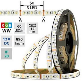 LED pásek McLED 12V RGBW WW teplá bílá 12mm IP20 19,2W/m ML-123.635.60.0 (5m)