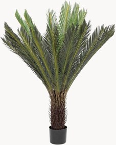 Umělá rostlina Cycas