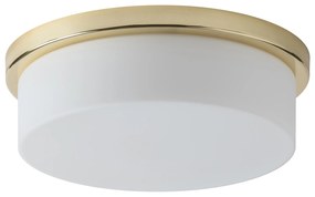 Osmont 71183 Elsa 1, kulaté stropní svítidlo z triplexového skla, 9W LED, 3000/4000K prům. 25cm, IP44