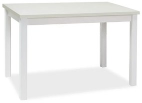 Jídelní stůl Adam 100 x 60 cm, bílá