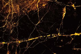 DIMEX | Vliesová fototapeta Černozlatý mramor MS-5-2482 | 375 x 250 cm | zlatá, černá
