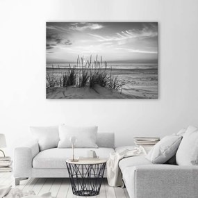 Obraz na plátně, Tráva na pláži šedá - 60x40 cm
