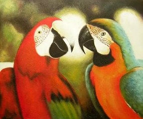 Dva papoušci - 60 x 90 cm
