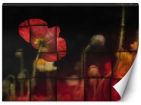 Gario Fototapeta Červený mák Materiál: Vliesová, Rozměry: 200 x 140 cm