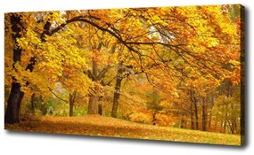 Wallmuralia Foto obraz na plátně do obýváku Podzim v parku 100x50