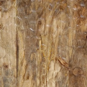 vidaXL Odkládací skříňka 40x33x75 cm masivní mangovníkové dřevo [356915] Barva: Přírodní