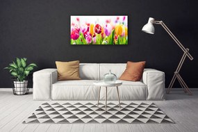 Obraz na plátně Tulipány Květiny 100x50 cm