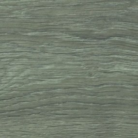FORBO Vinyl ALLURA FLEX 055 - Grey Giant Oak 60280