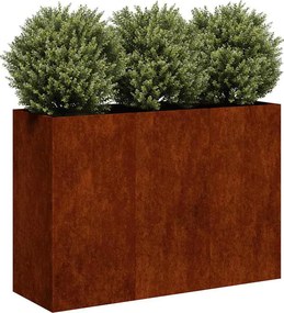 vidaXL Truhlík rezavá 120x40x80 cm [860721] Barva: antracitová