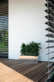 Truhlík BALKONIX, šířka 60 cm, broušený nerez