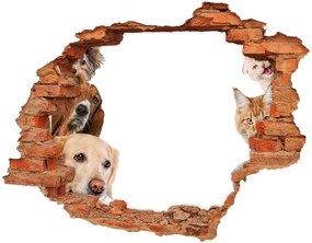 Wallmuralia Díra 3D fototapeta na stěnu Psi a kočky 90x70 cm