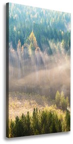 Wallmuralia Vertikální Fotoobraz fotografie na plátně Mlha nad lesem 50x100