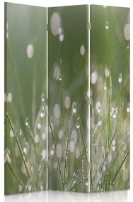 Ozdobný paraván, Kapky rosy na trávě - 110x170 cm, třídílný, obustranný paraván 360°