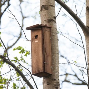Budka pro datle Smart, 53,5x18x22 cm, dřevo, hnědá
